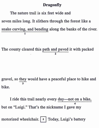 Sample ACT/SAT Verbal Questions: Reading and Writing/English Practice